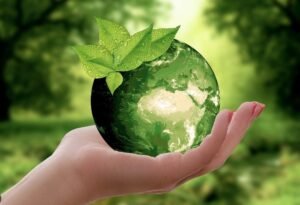 The Importance of Protecting Our Environment: A Comprehensive Guide ...
